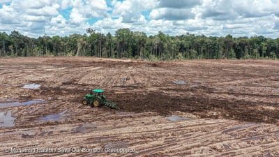 Food Estate: Solusi Palsu Penyebab Masalah Baru