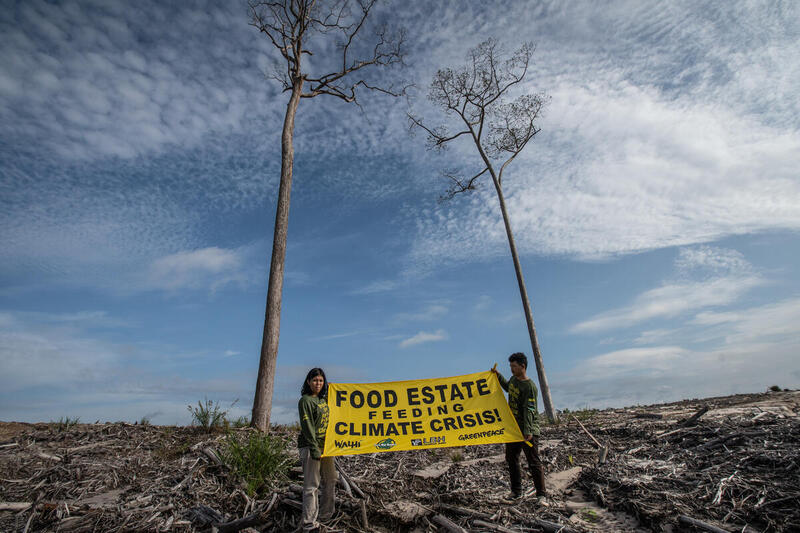 Stop Food Estate! Ini bukan solusi untuk ketahanan pangan